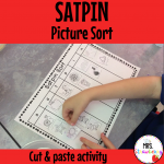 SATPIN Picture Sort - Mrs. Strawberry - Letter Recognition